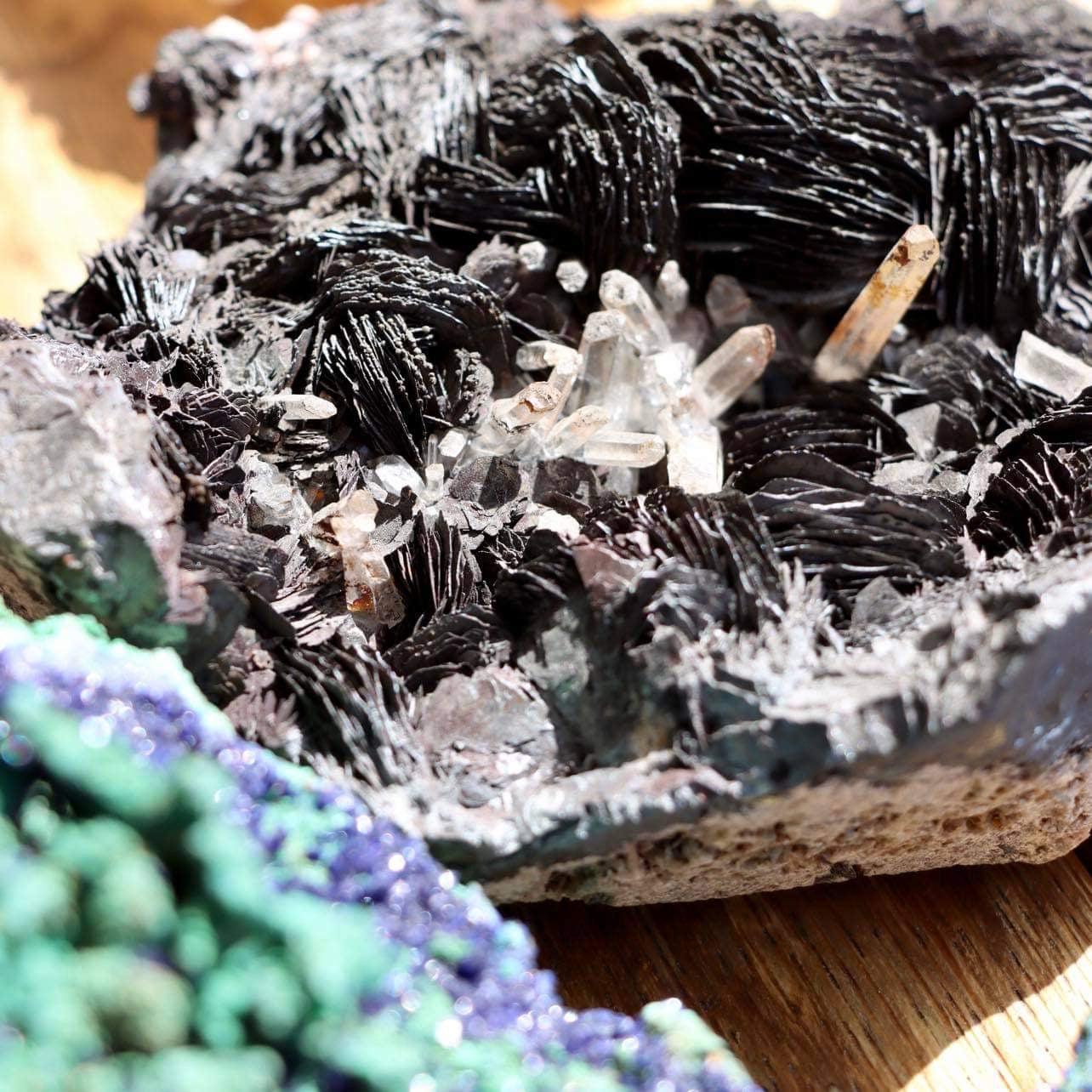 Rare Crystal Collection: Coming Soon – Daily Habituals